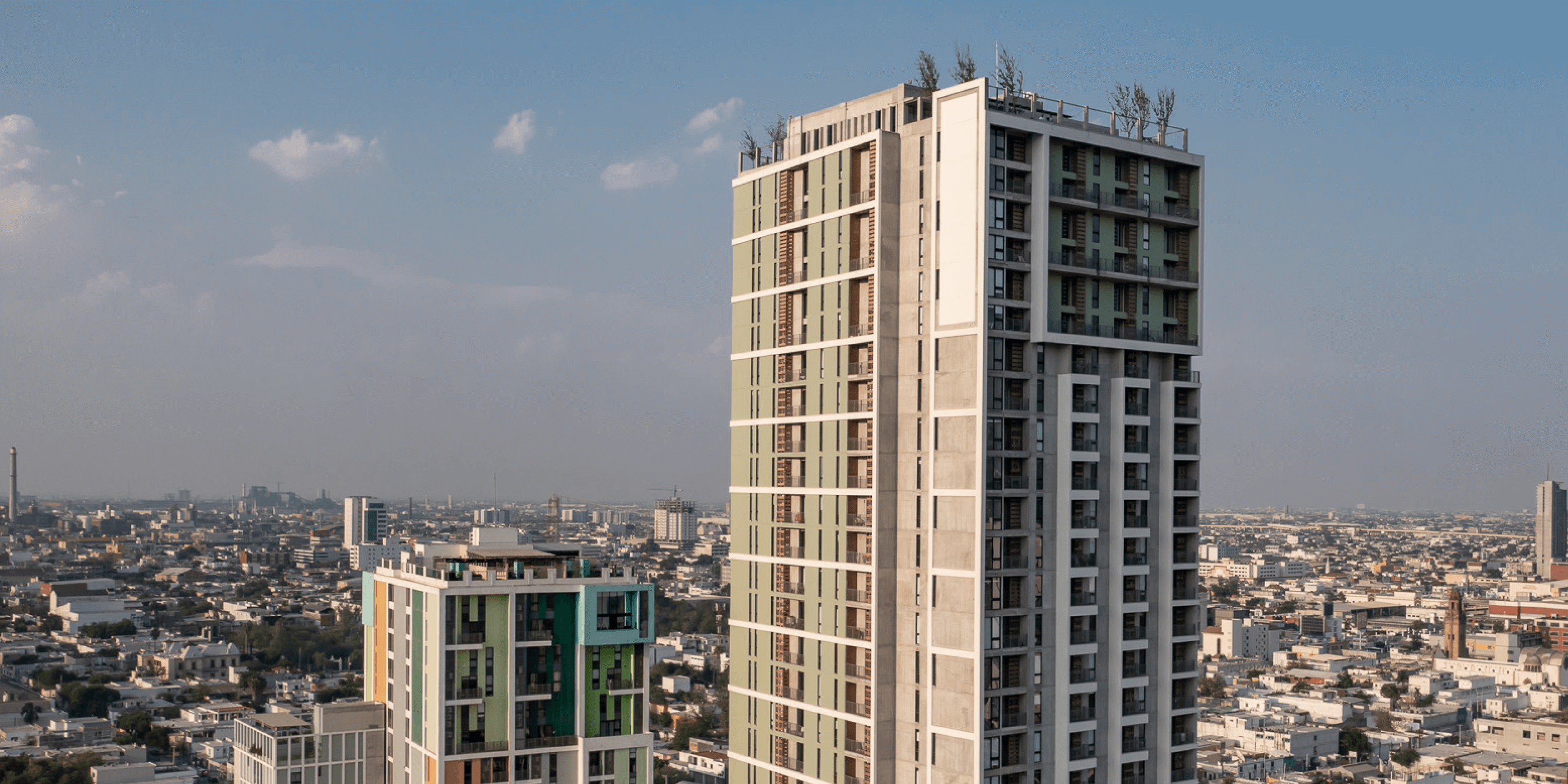 Semillero Purísima - Pladis